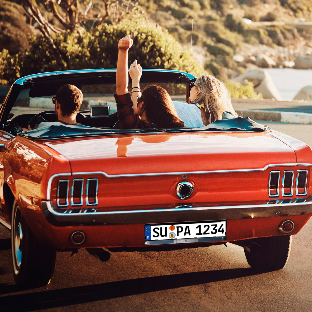 Maginon Wildlife Camera WK-4HDW Professional Set – Full HD, App Contro